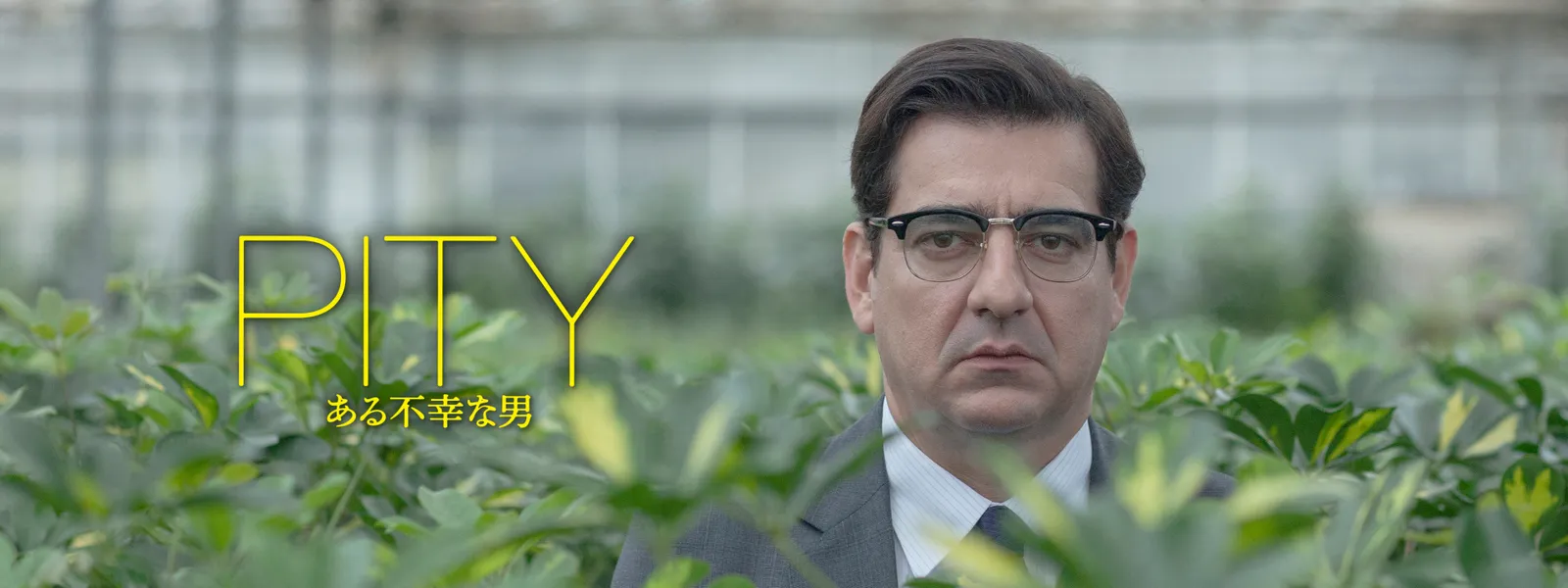 PITY ある不幸な男 | Hulu(フールー)