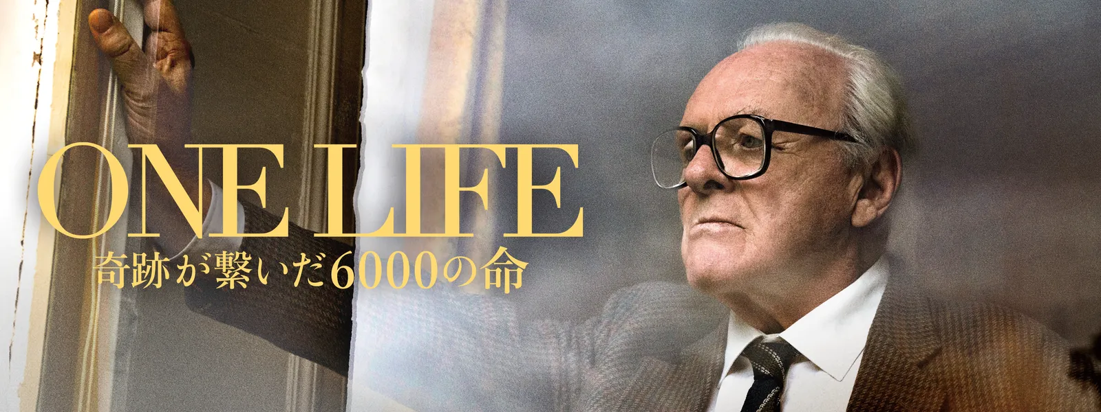 ONE LIFE 奇跡が繋いだ6000の命 | Hulu(フールー)