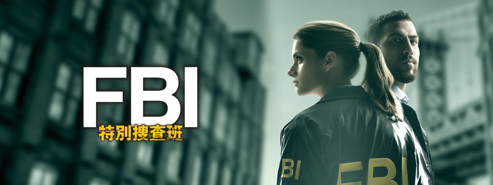 FBI：特別捜査班 が見放題！ | Hulu(フールー) 【お試し無料】