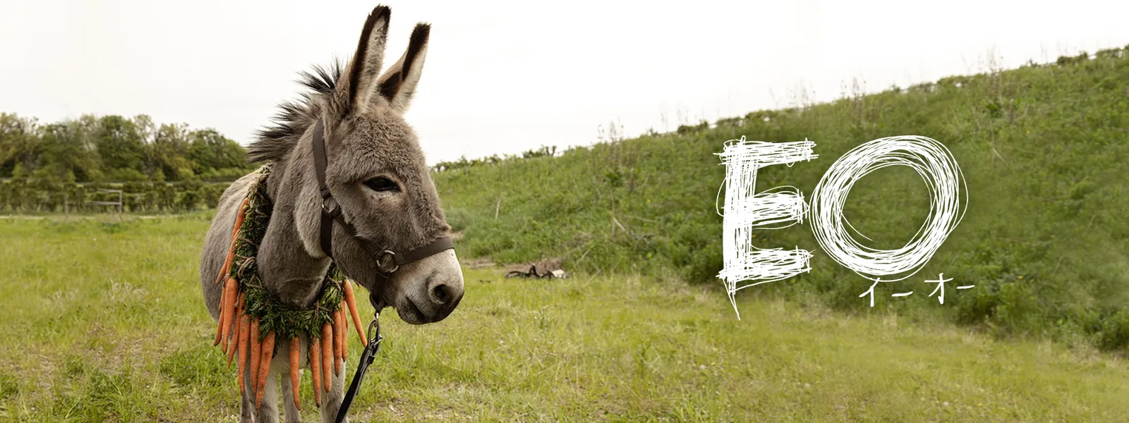 EO イーオー | Hulu(フールー)